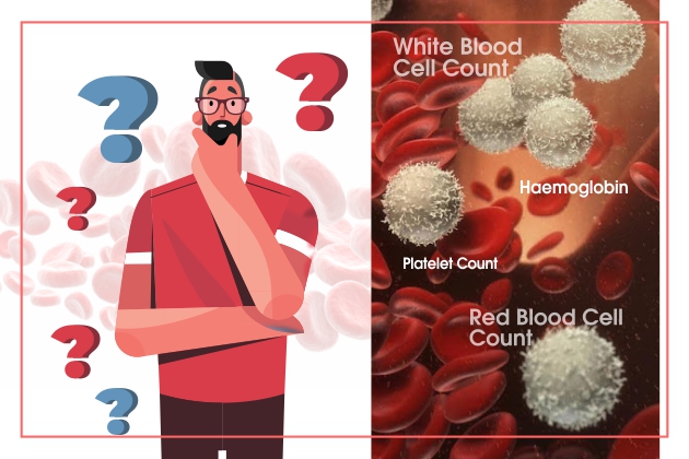 Complete Blood Count (CBC) Test Guide | What Each Parameter